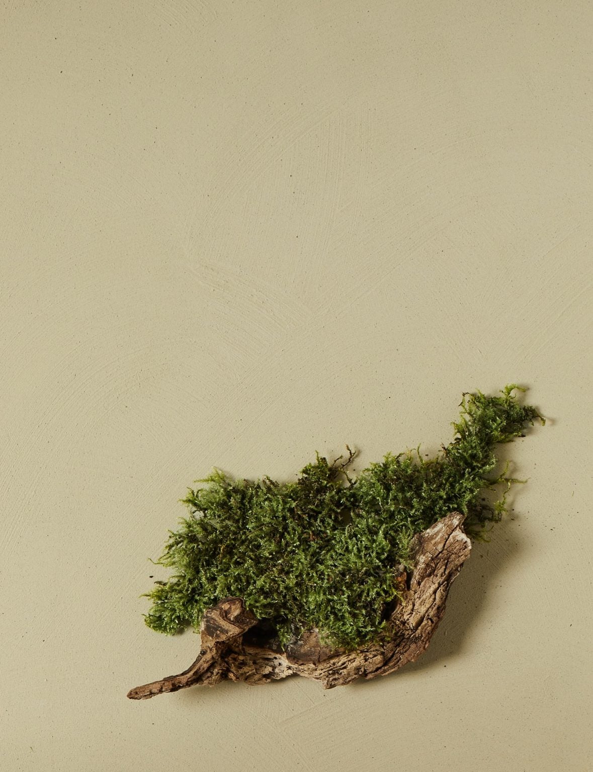 In Conversation With Clay Paint Brand Nen-do, On Bringing Earth Inside ...