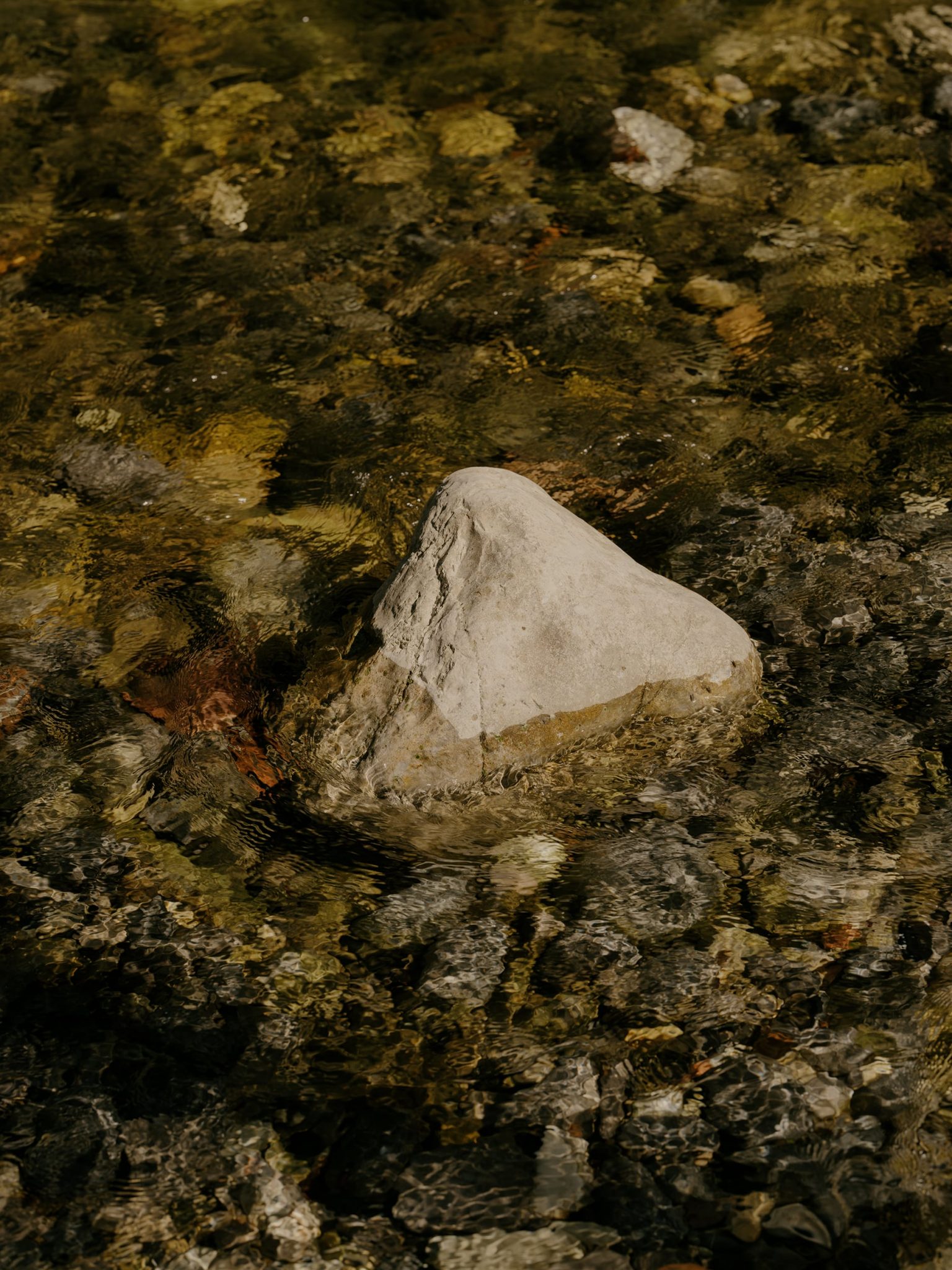 Emil’s Editorial By Robert Rieger Is An Enchanting Portrait Of The ...