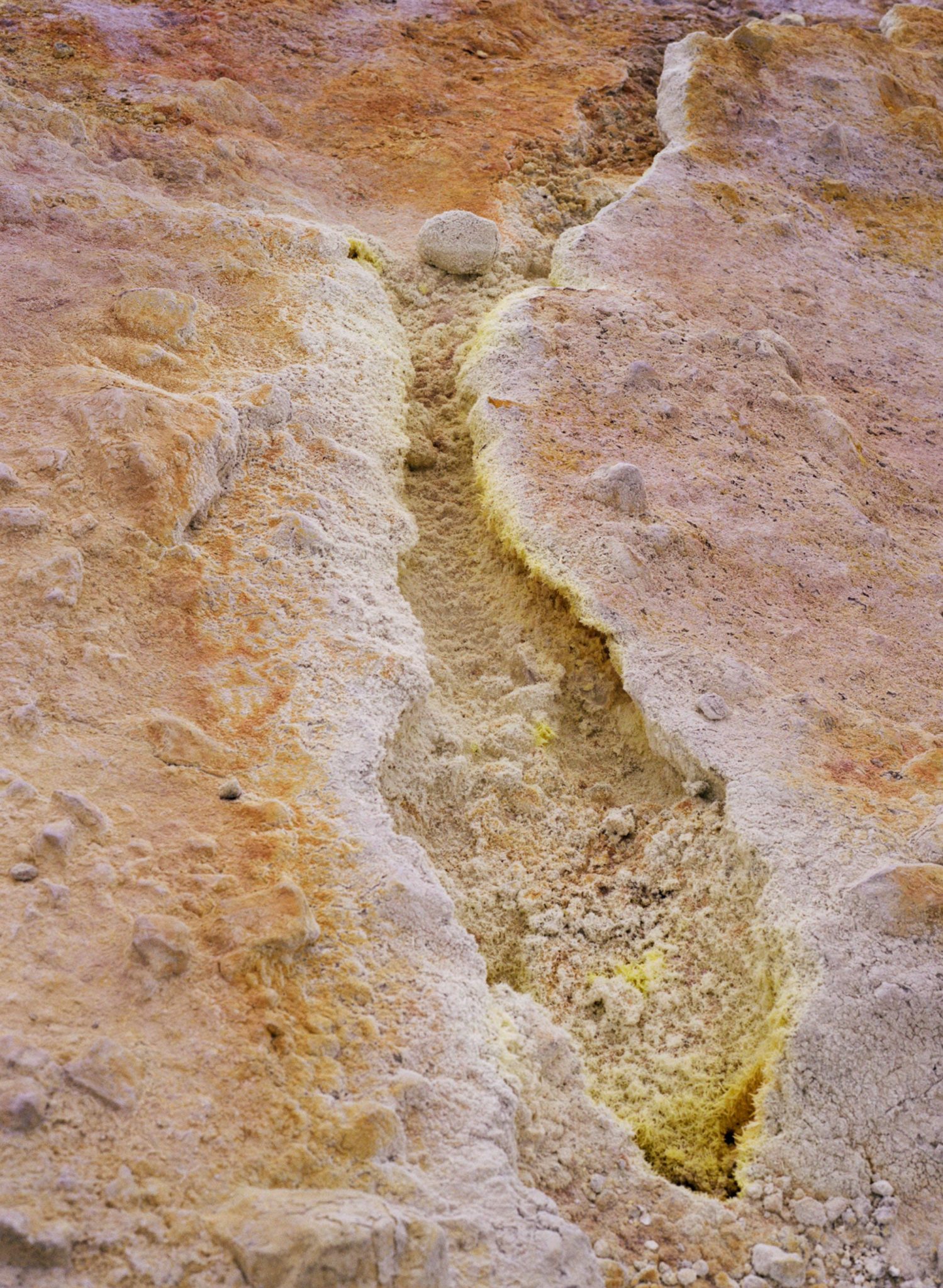 With Stunning Detail, Jess Gough Photographs The Earth’s Striking ...