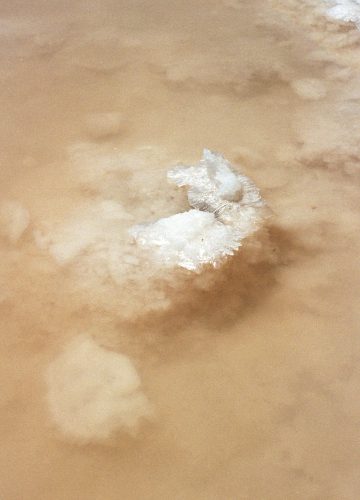 With Stunning Detail, Jess Gough Photographs The Earth’s Striking ...