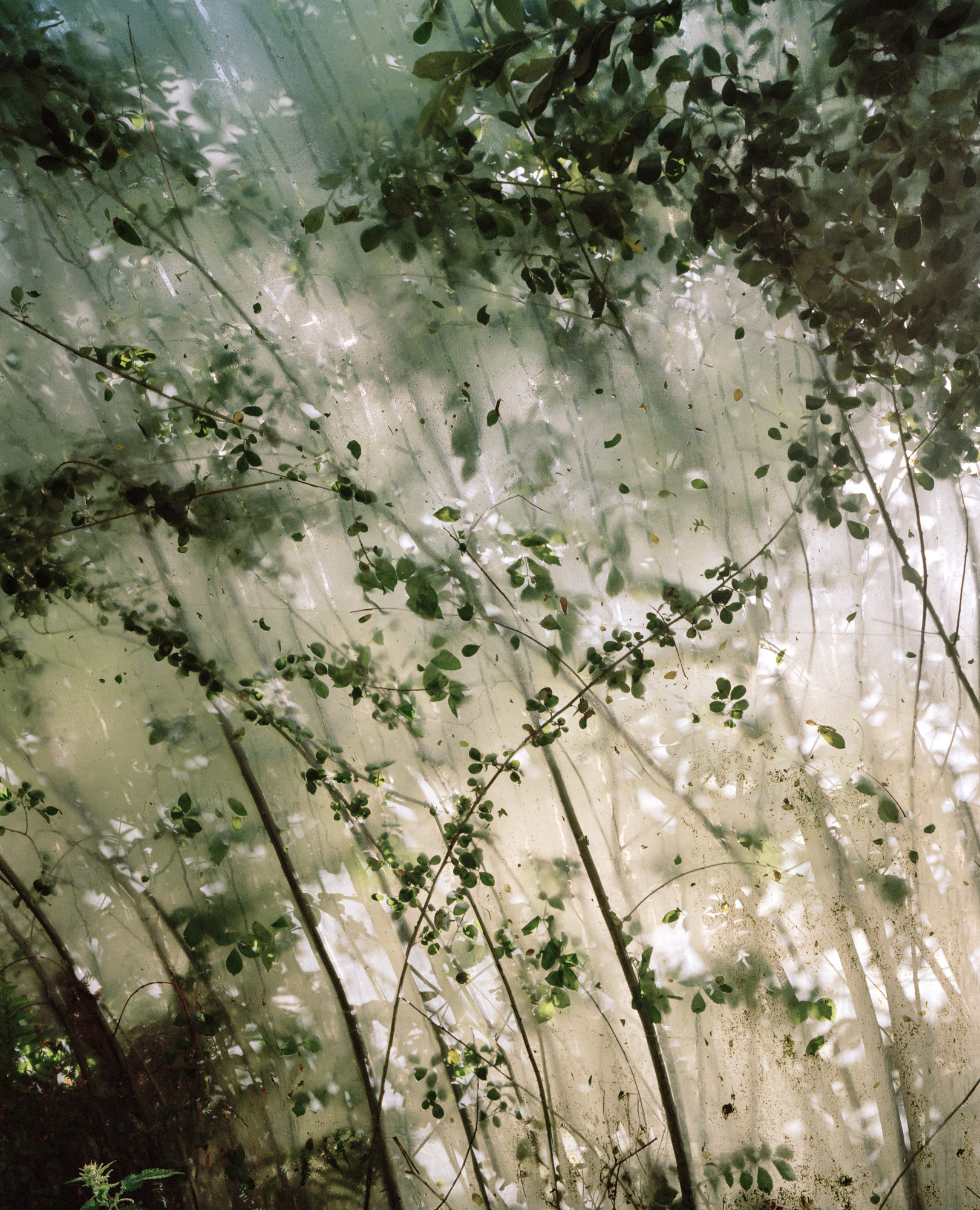 Sensitive photography by Miss Bean - IGNANT