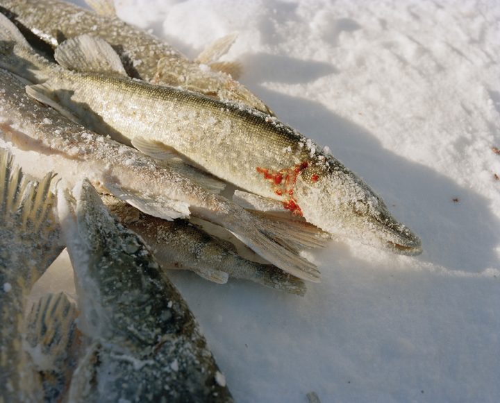 Maureen Drennan’s Atmospheric Photography Is A Sincere Portrayal Of ...