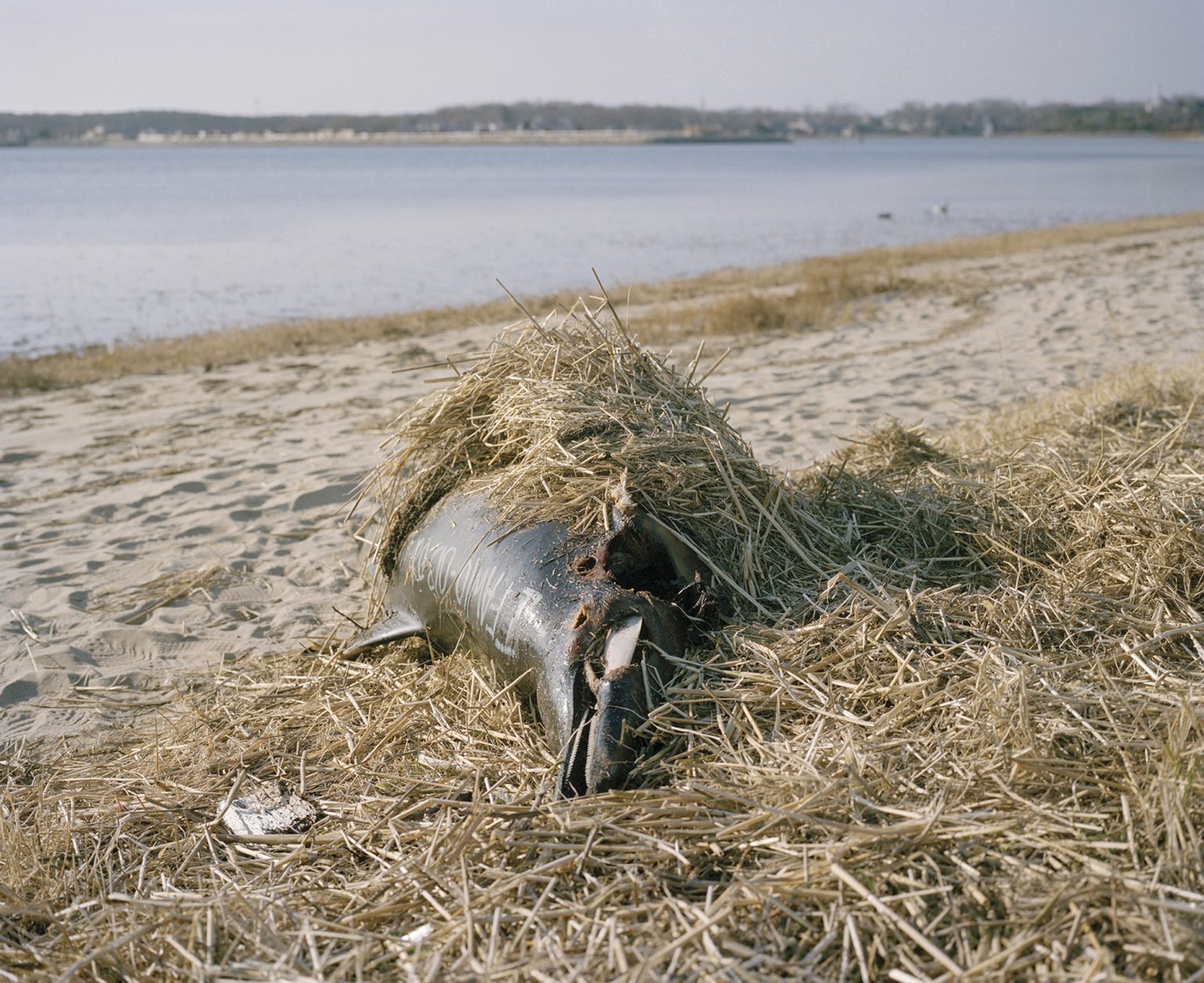 Maureen Drennan’s Atmospheric Photography Is A Sincere Portrayal Of ...
