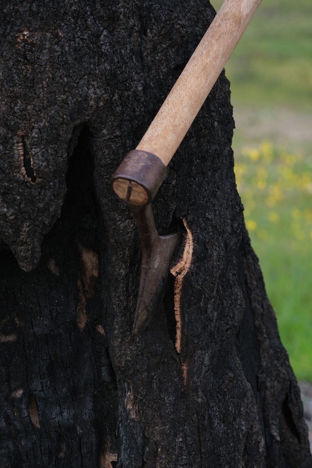 Burnt Cork By Made In Situ Pays Tribute To Portuguese Cork Harvesting ...