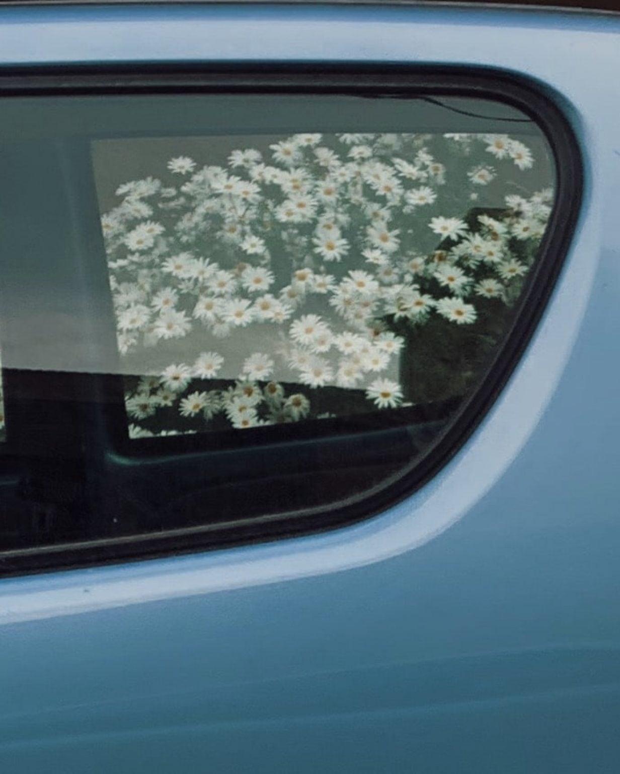 With A Painterly Quality, Leandro Colantoni Photographs Beautiful ...