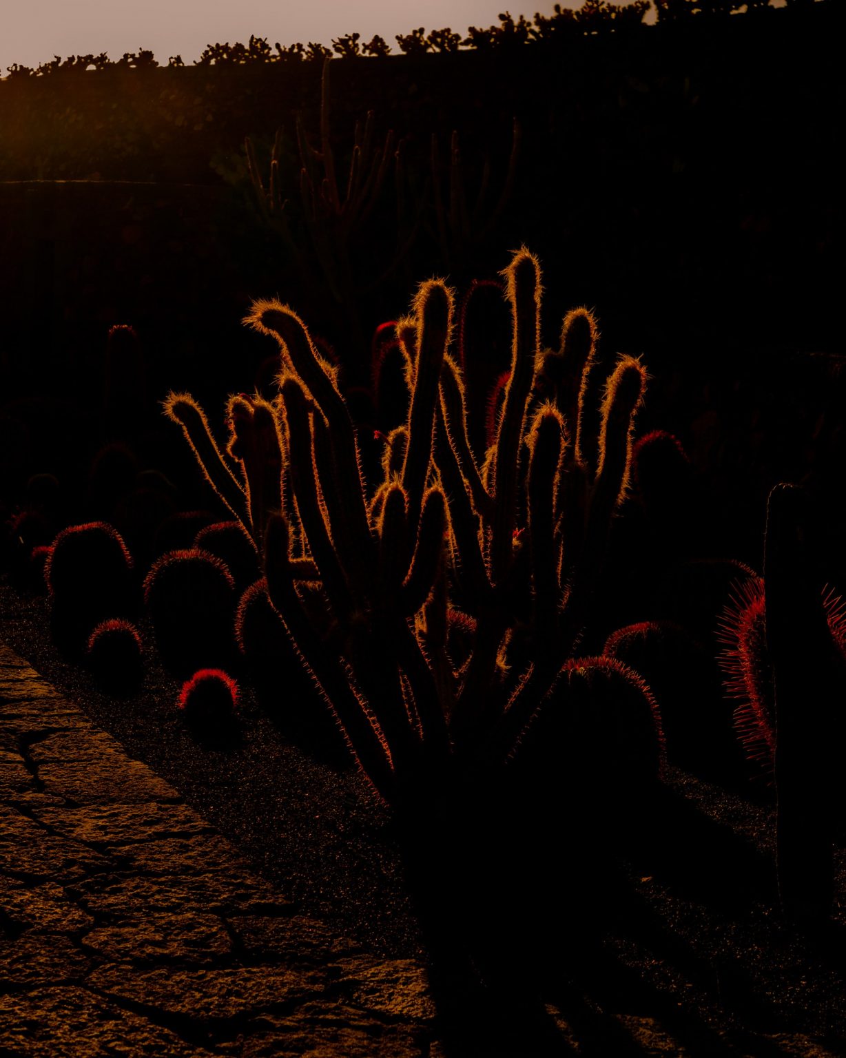 From The British East Coast To Majestic Antigua, Max Miechowski’s ...