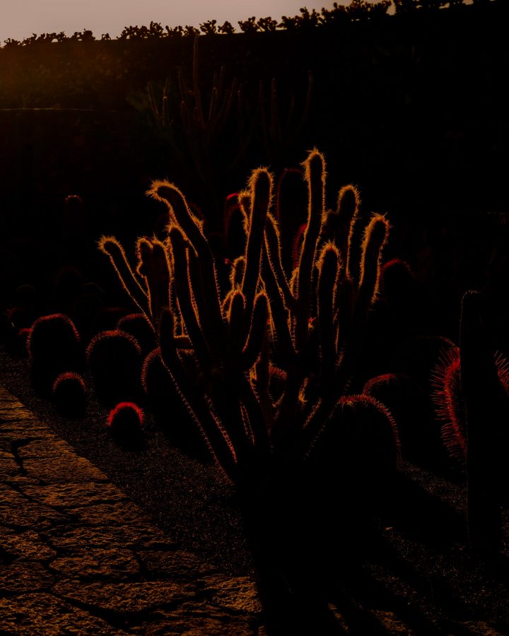 From The British East Coast To Majestic Antigua, Max Miechowski’s ...