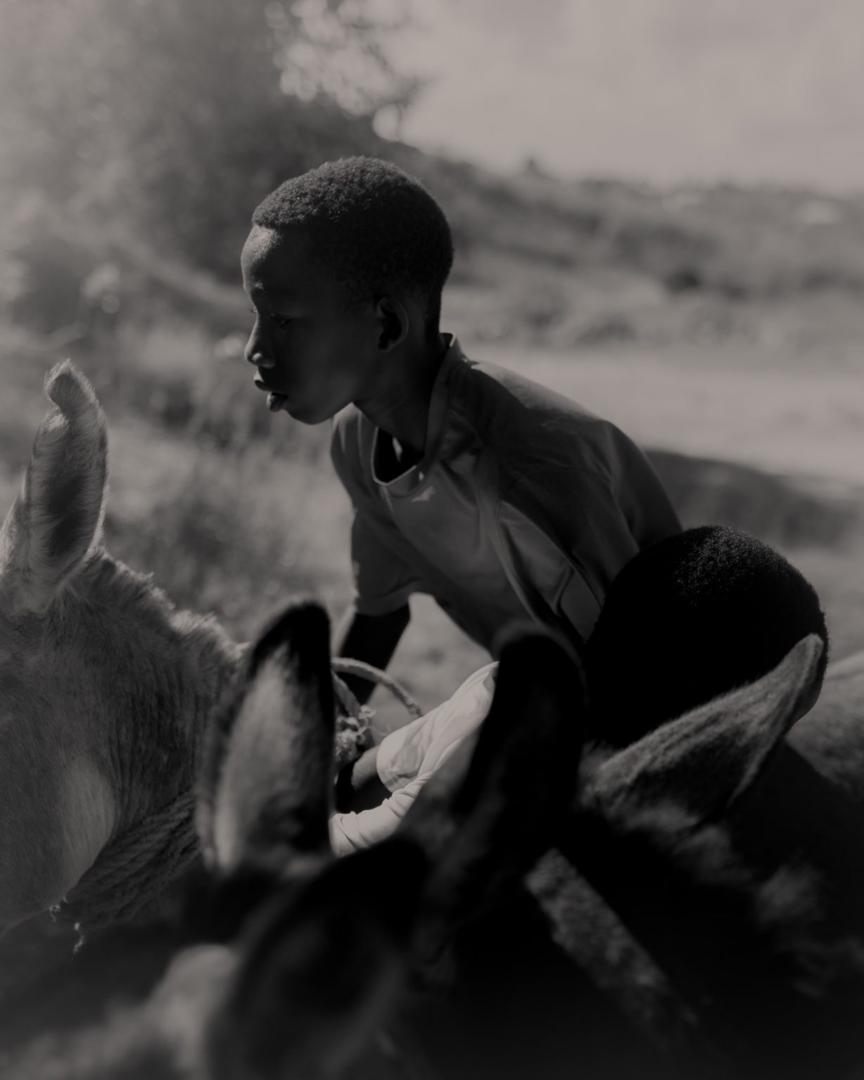 From The British East Coast To Majestic Antigua, Max Miechowski’s ...