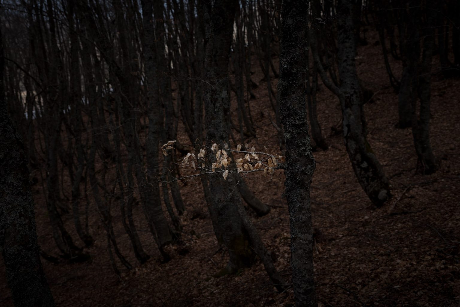 Photography Archives - IGNANT