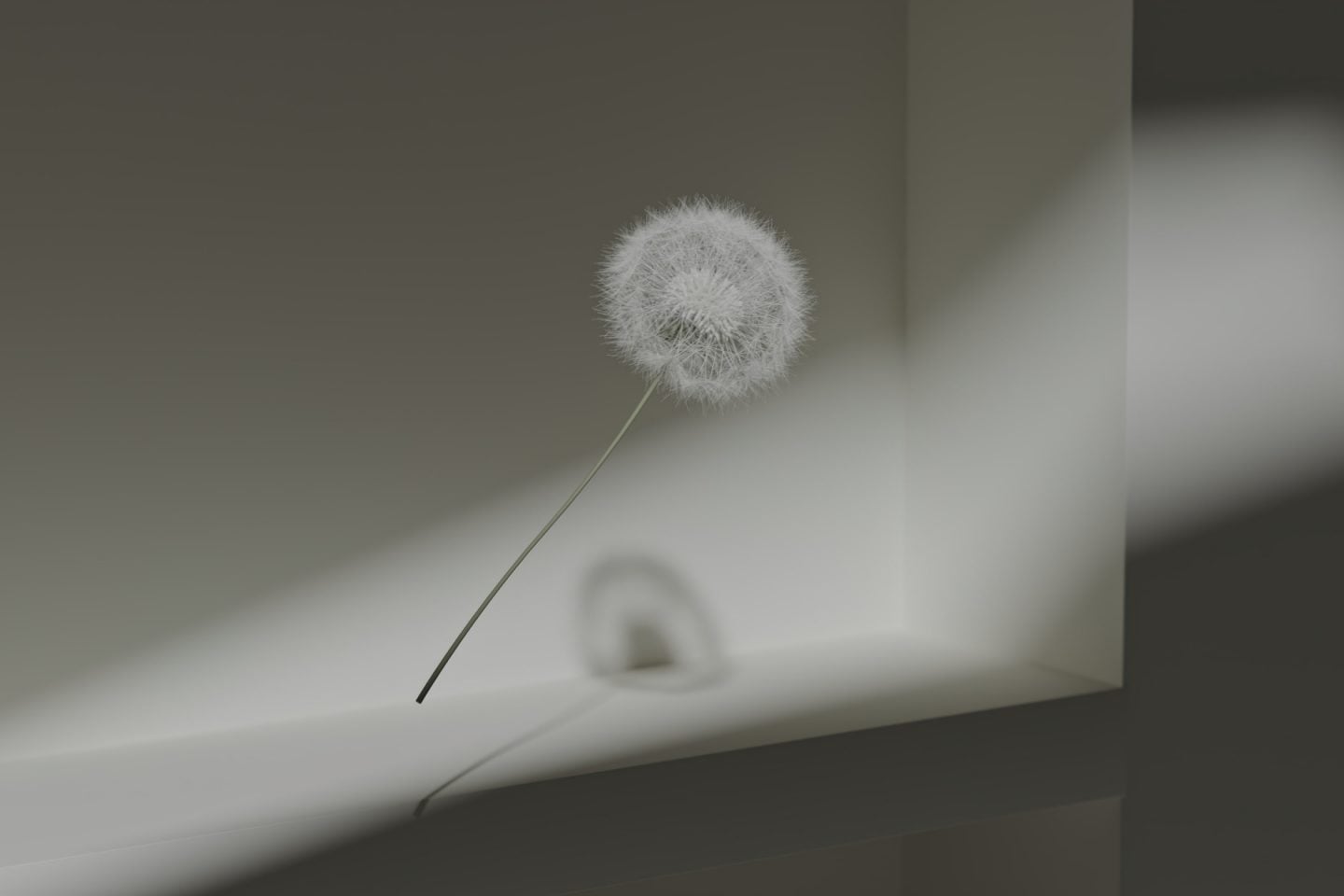With A Uniquely Stylized Perspective, Taiwanese Photographer Zhang ...