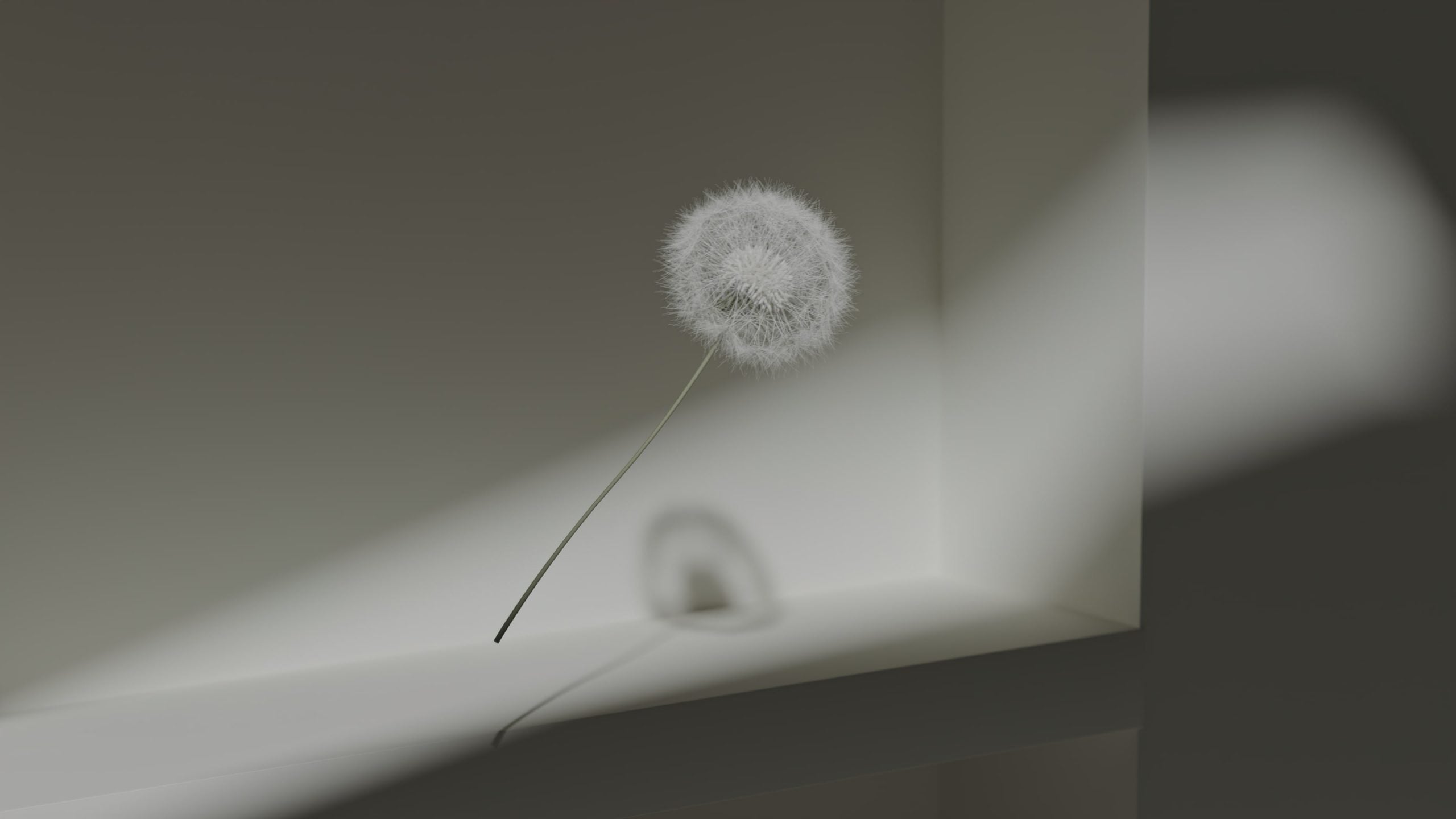 With A Uniquely Stylized Perspective, Taiwanese Photographer Zhang ...