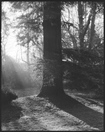 Beautiful And Considered Images, Masterfully Lensed By Rich Stapleton ...