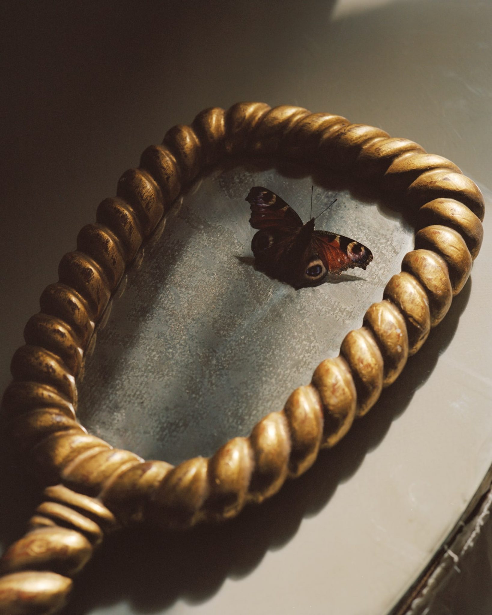 Beautiful And Considered Images, Masterfully Lensed By Rich Stapleton ...