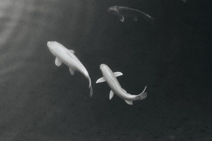 Beautiful And Considered Images, Masterfully Lensed By Rich Stapleton ...