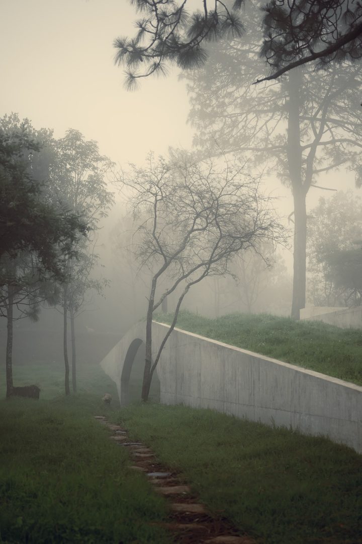 HW Studio’s The Hill In Front Of The Glen Emerges From The Forest ...