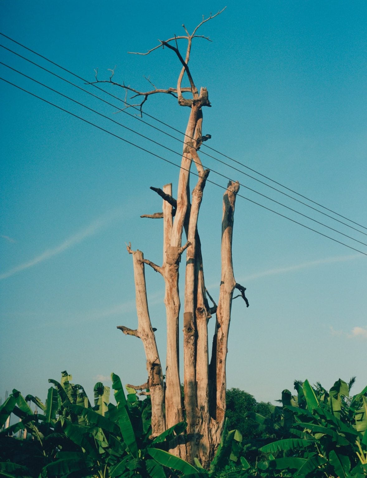 With The Day After Tomorrow, Eric Asamoah’s Photographs Reach Into The ...