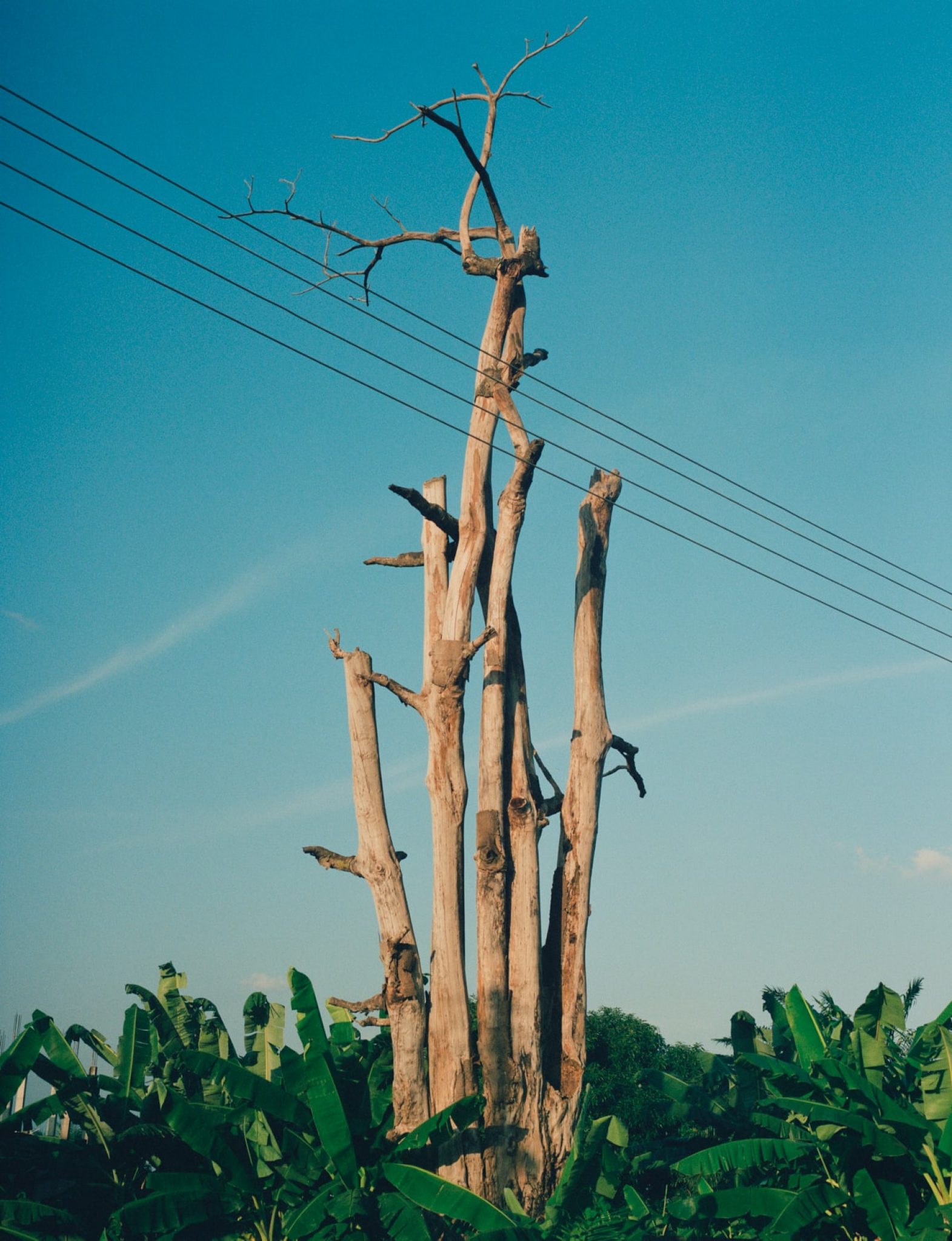 With The Day After Tomorrow, Eric Asamoah’s Photographs Reach Into The ...