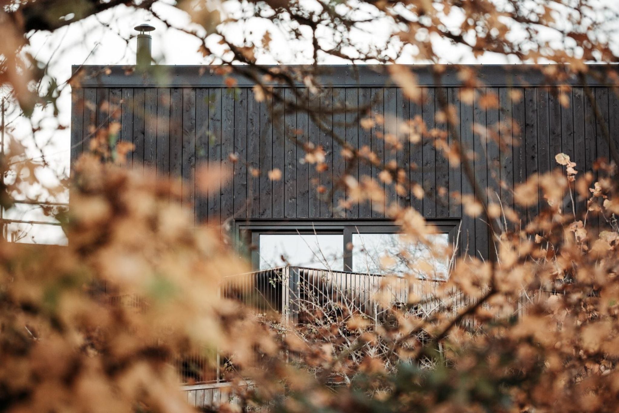 Falcon House Is Koto’s Latest Angular, Architectural Home Design In The ...