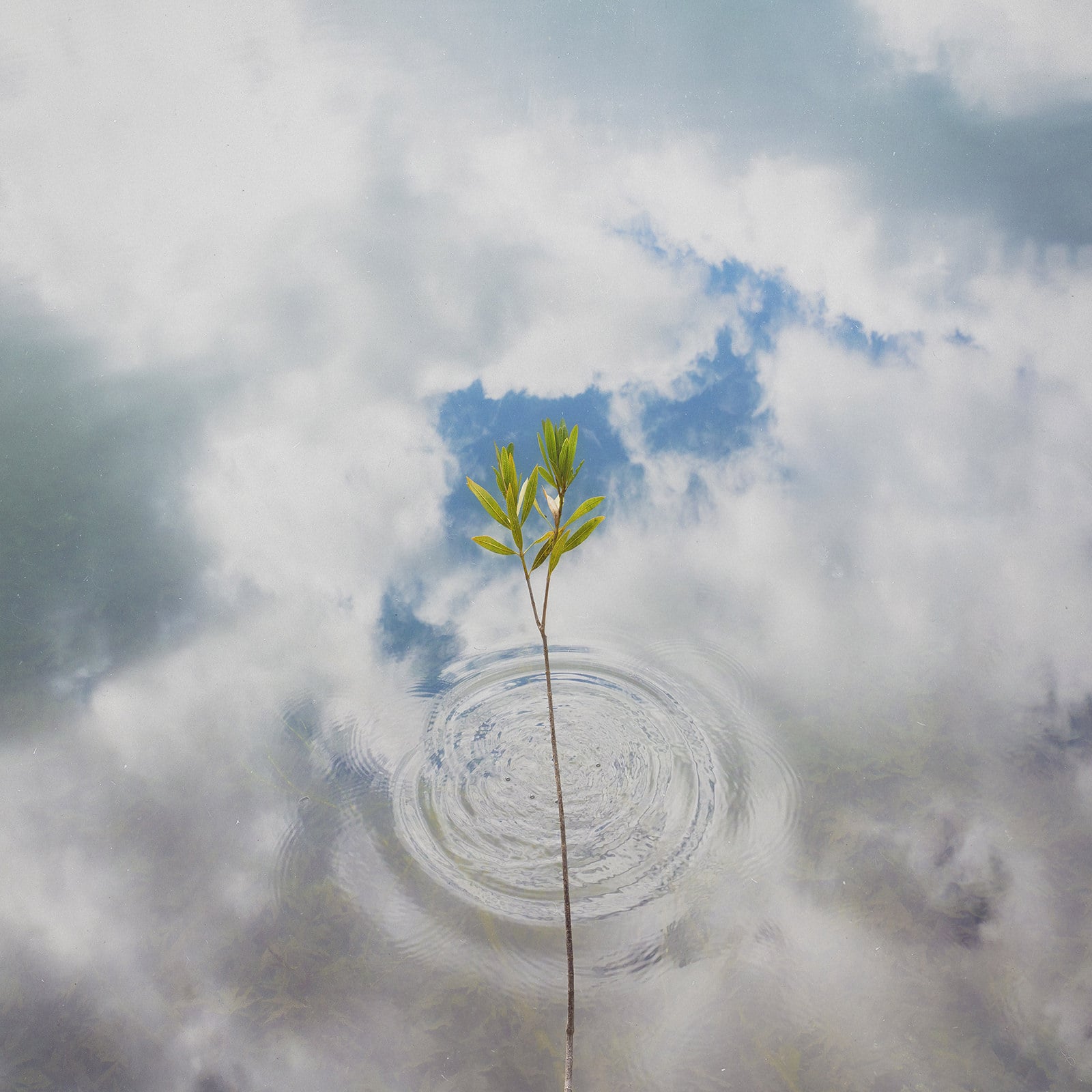 IGNANT - IGNANT is an award-winning online magazine featuring the ...