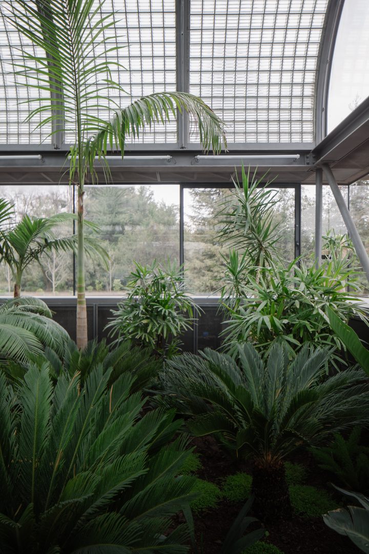 Filled With Steam And Tropical Plants, Max Núñez Arquitectos’s ...
