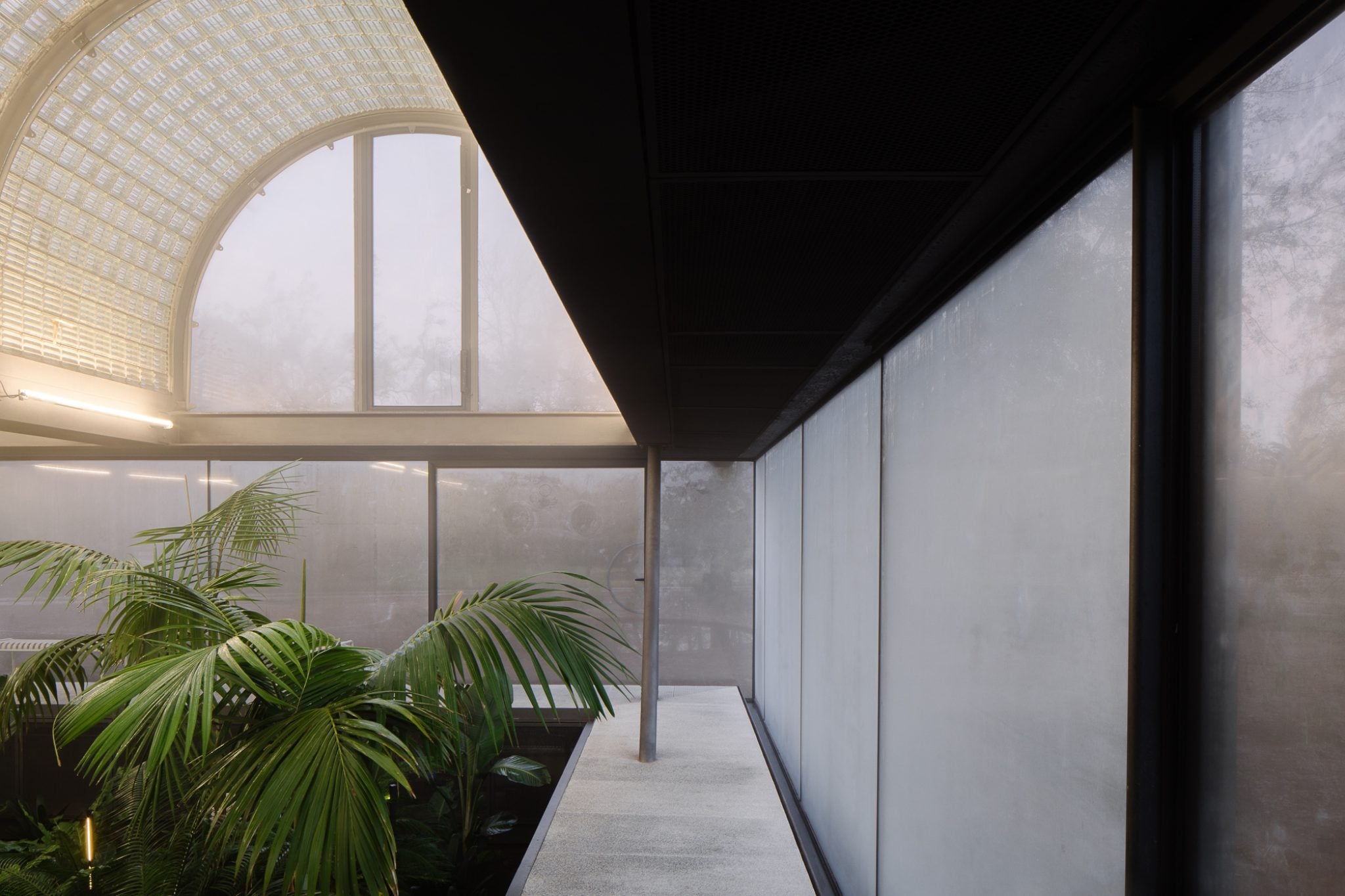 Filled With Steam And Tropical Plants, Max Núñez Arquitectos’s ...