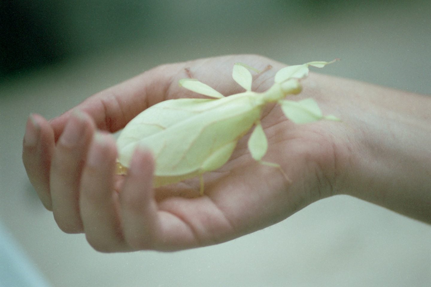 IGNANT - IGNANT is an award-winning online magazine featuring the ...