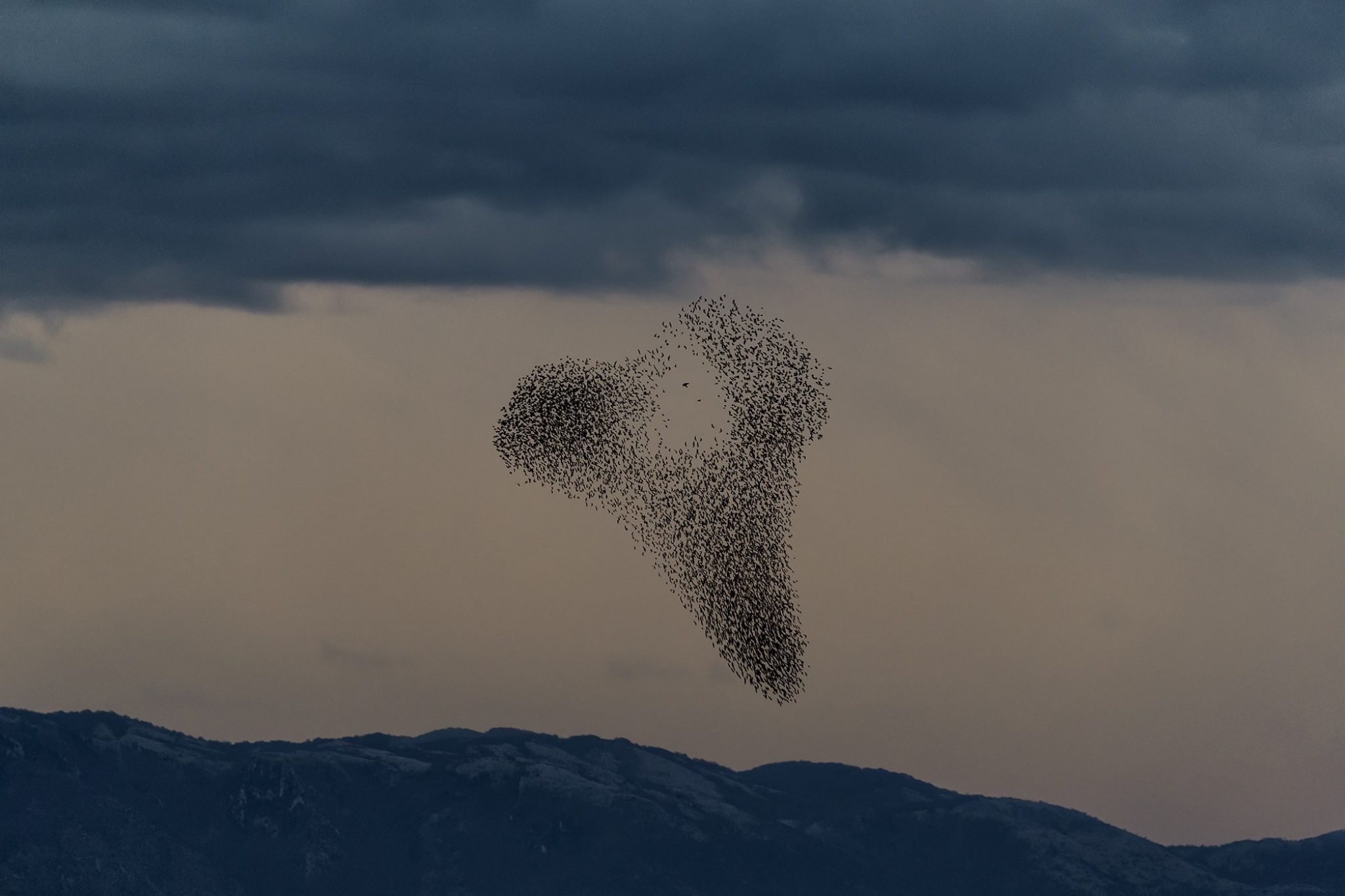 Black Sun: Søren Solkær’s Captivating Record Of The Swirling Displays ...