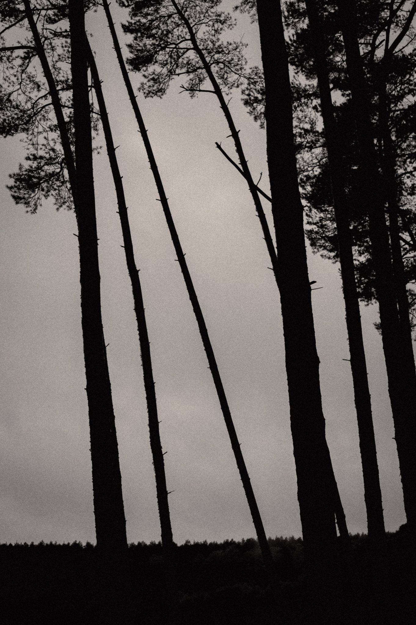 “I Always Want To Tell Stories”: Nikk Martin On His Evocative ...