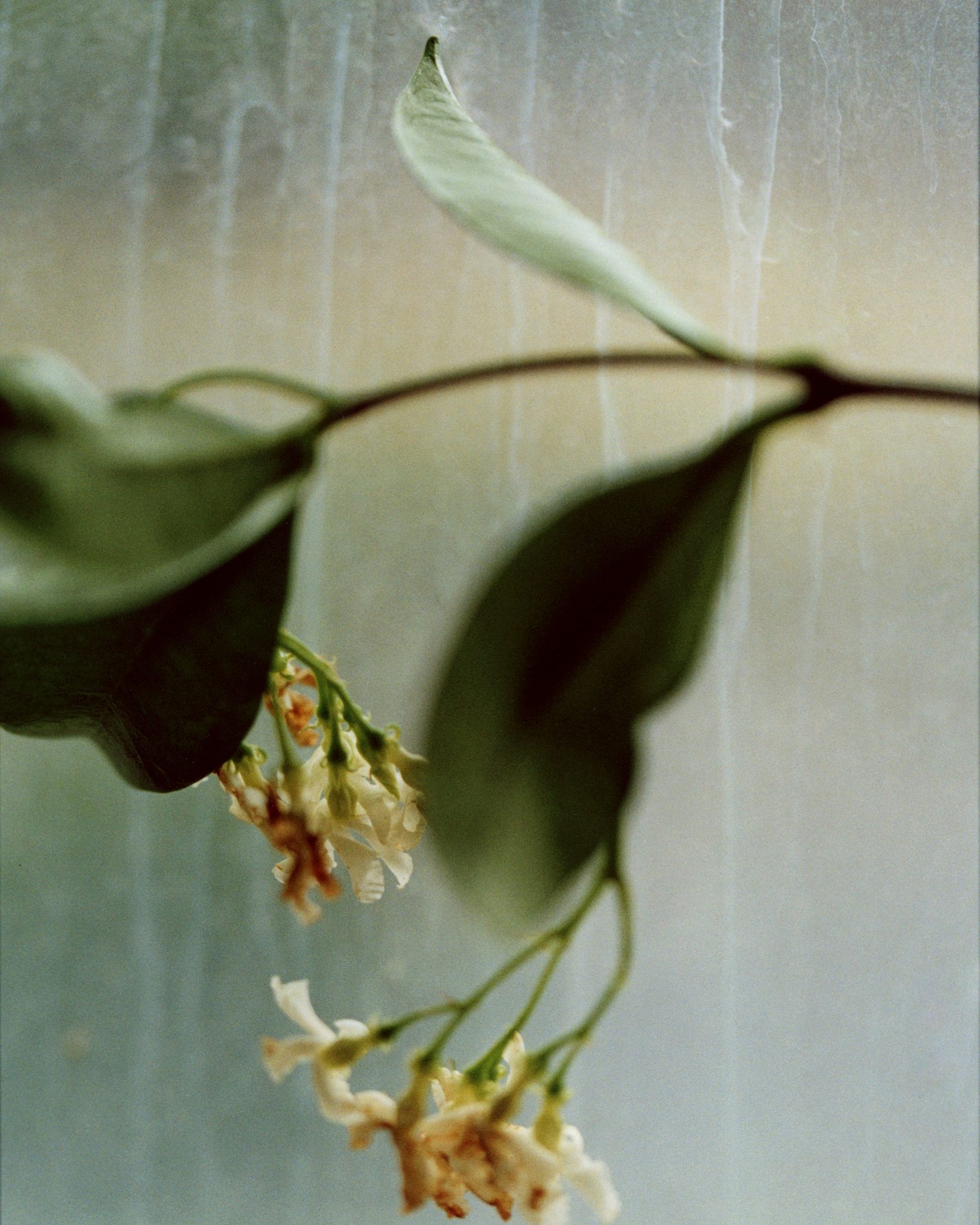 Zellweger Warmwear’s Introductory Campaign Elicits Memories And ...