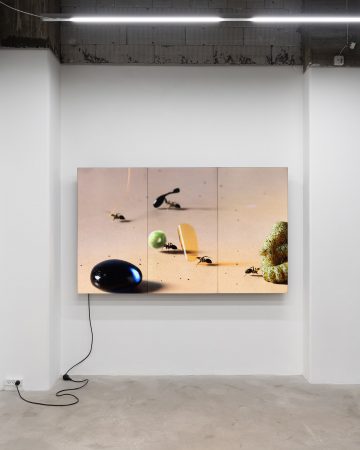 Wang & Söderström On Broadening The Aesthetics And Meanings Of The ...