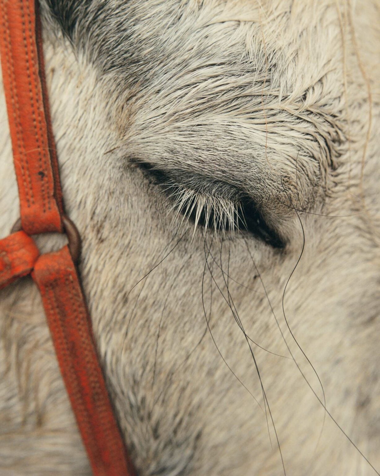 Dyal Thak—A Poetic Photo Series By Kin Coedel About A Human Connection ...