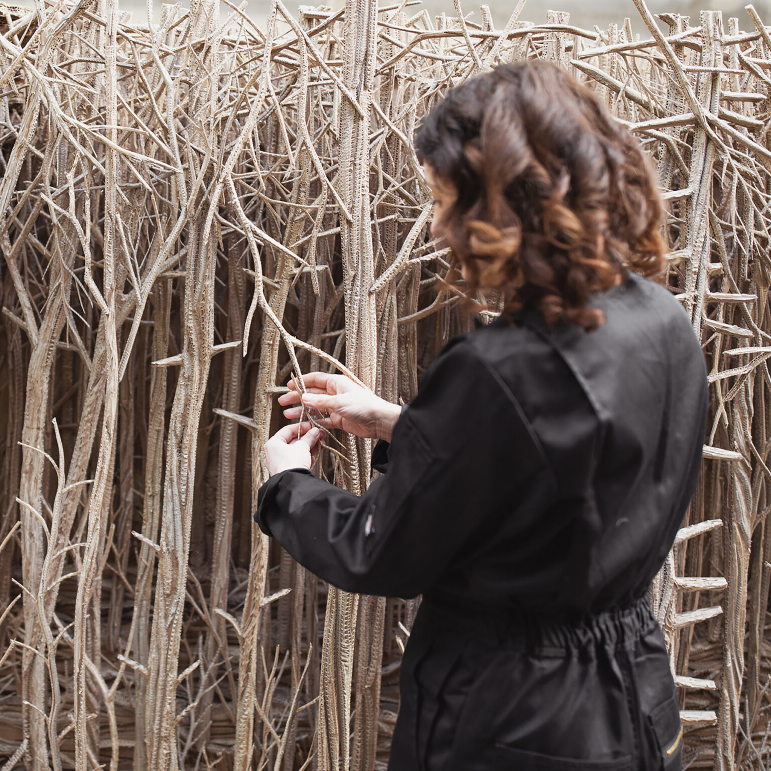 PROMENADE(s): Sculptor Eva Jospin Invites Us To Explore The Region Of ...