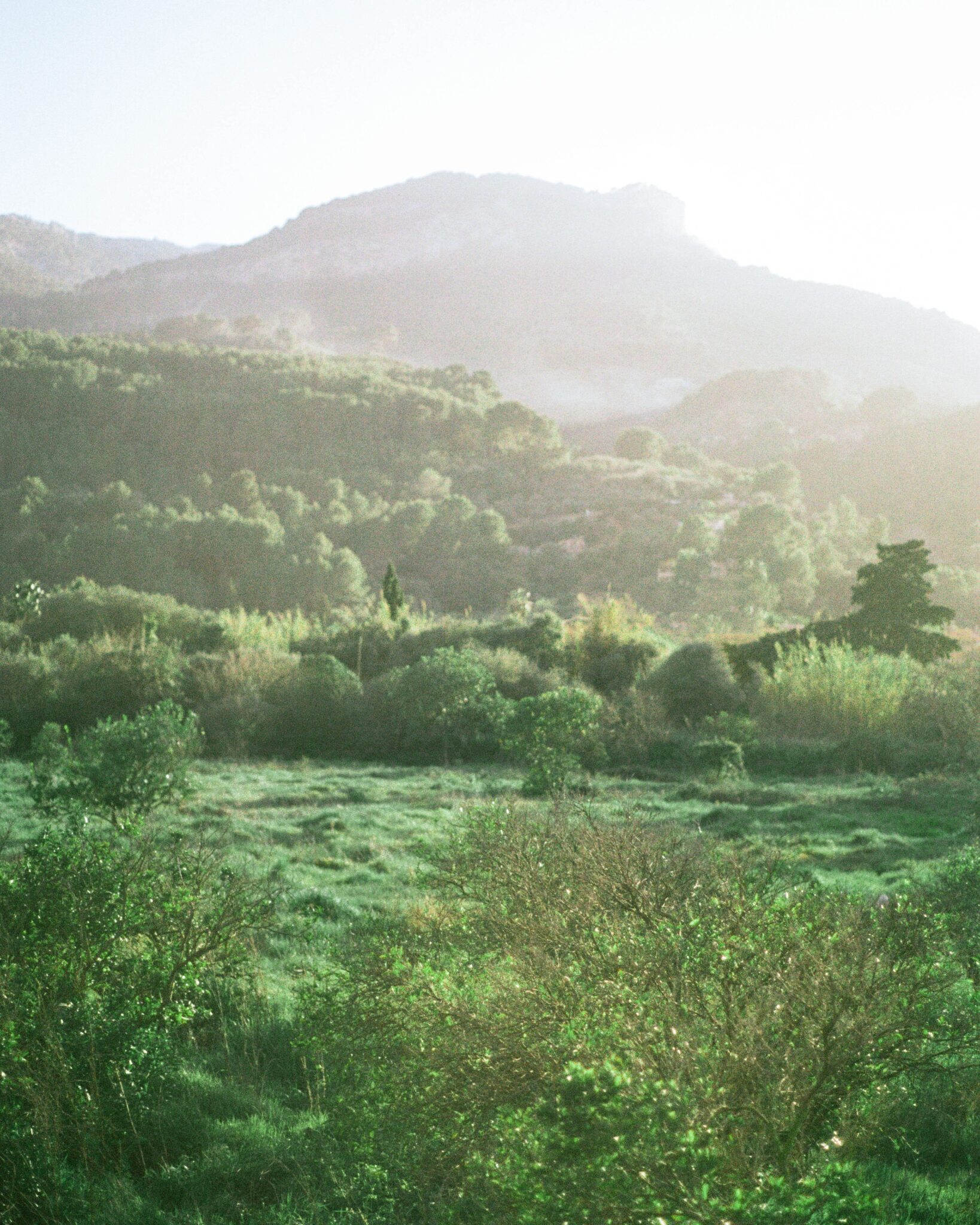 Eva Abeling Invites Us To Step Into A World Of Introspection And Wonder ...