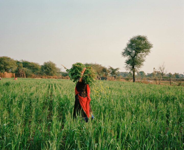 In Conversation: With Photography and Life, Joe Greer Takes the Long ...