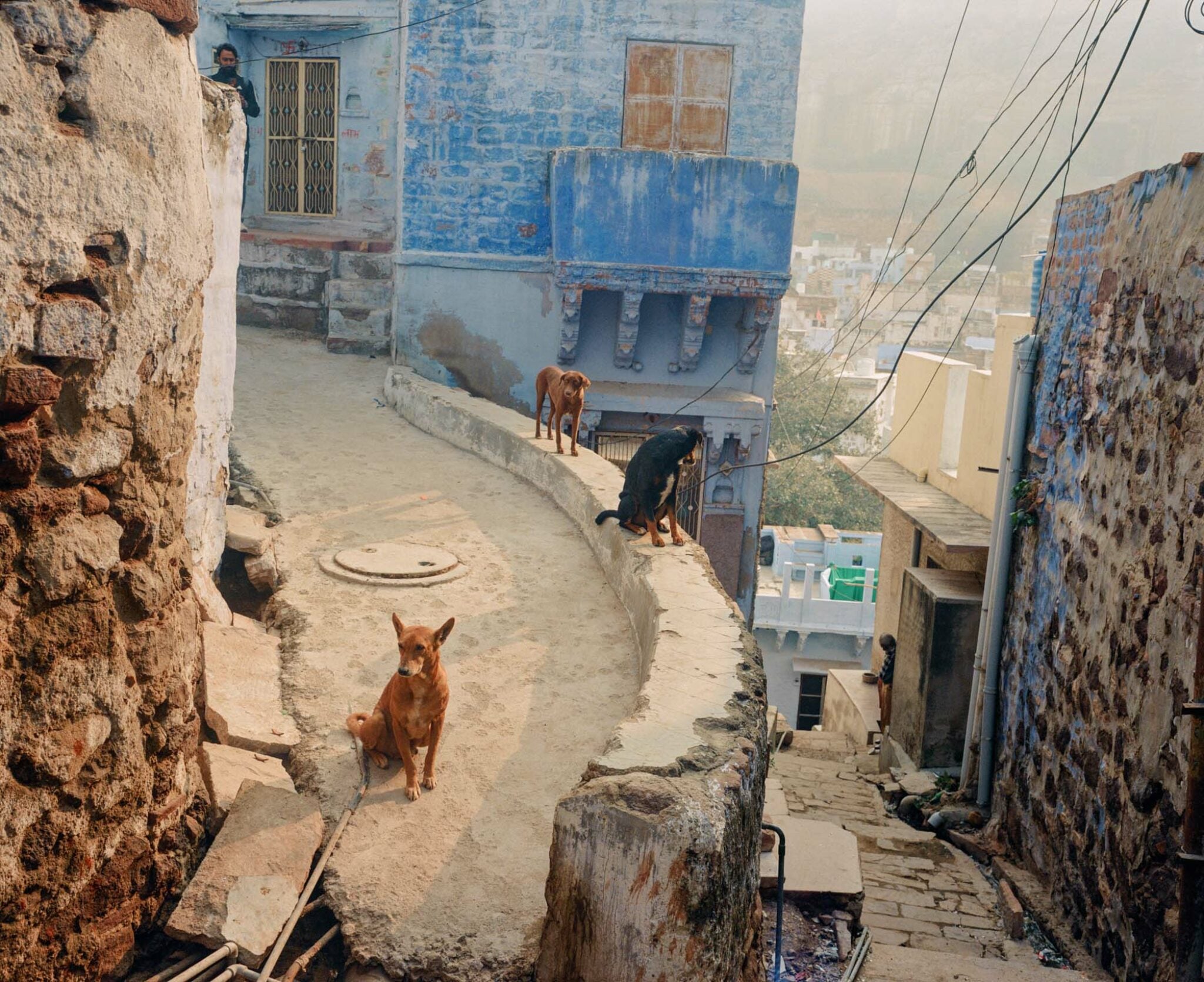 In Conversation: With Photography and Life, Joe Greer Takes the Long View - IGNANT