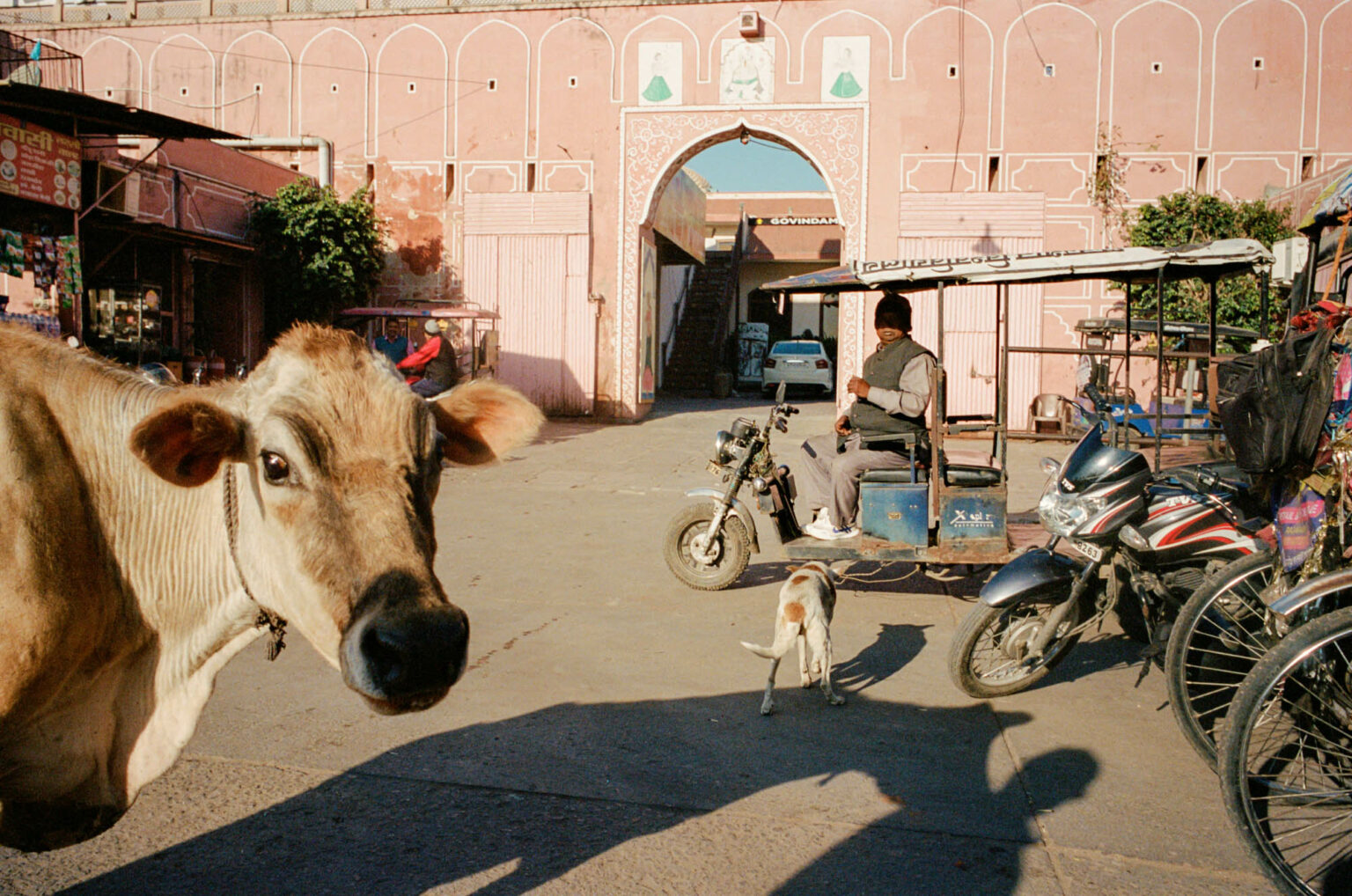 In Conversation: With Photography and Life, Joe Greer Takes the Long ...