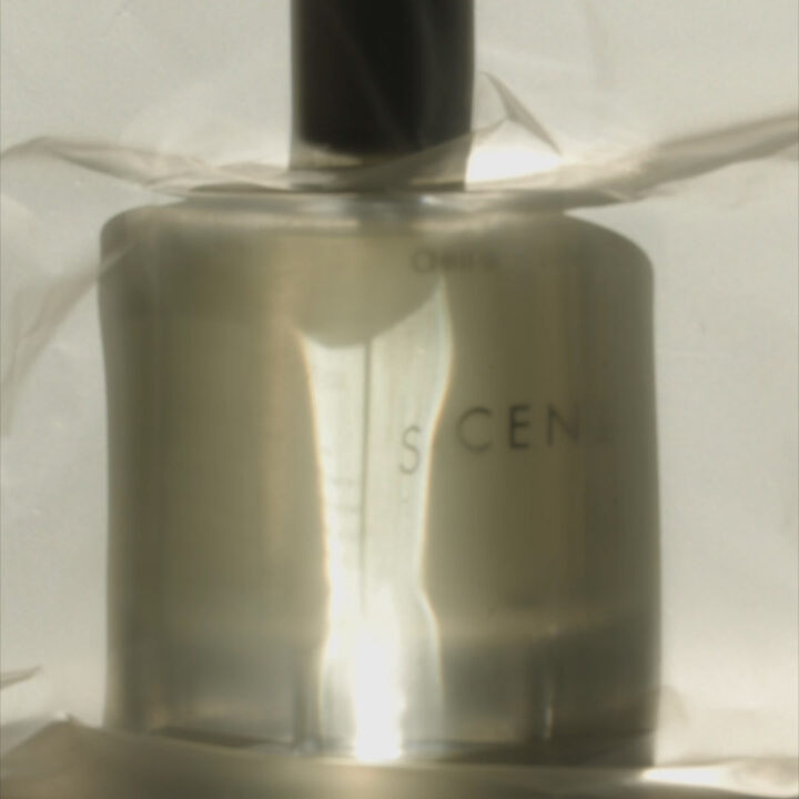 Introducing The Second Ignant Shop Product: A Room Scent Created With ...