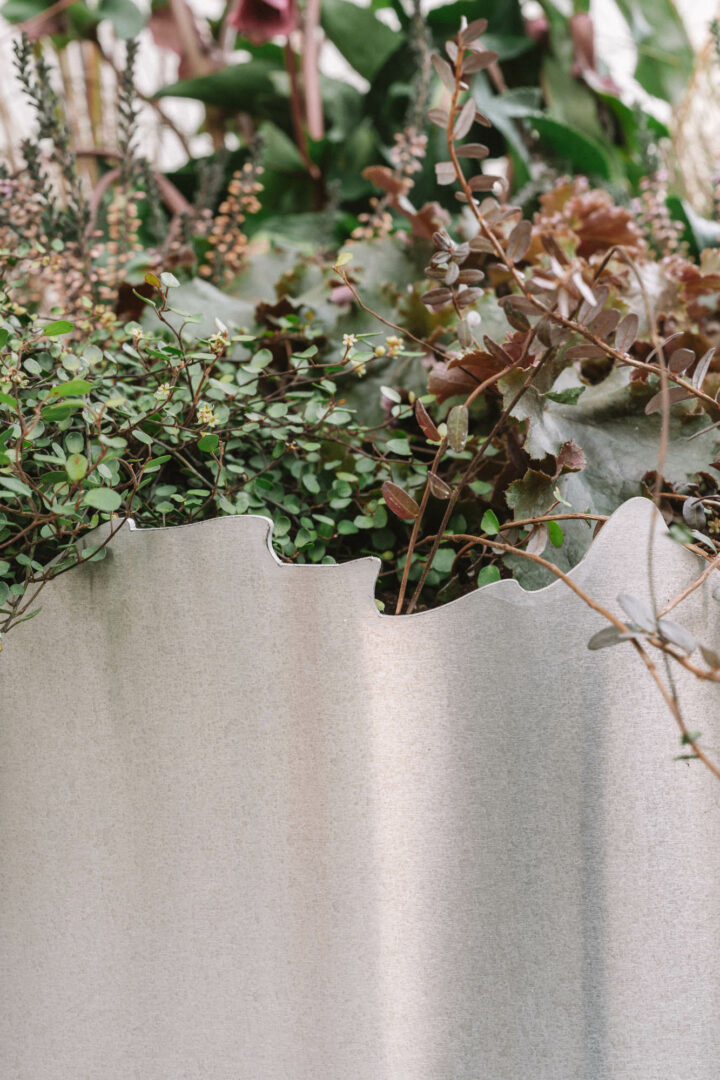 On The Cusp Of Her Next Era, Anahita Sadighi Is Redefining The Role Of ...