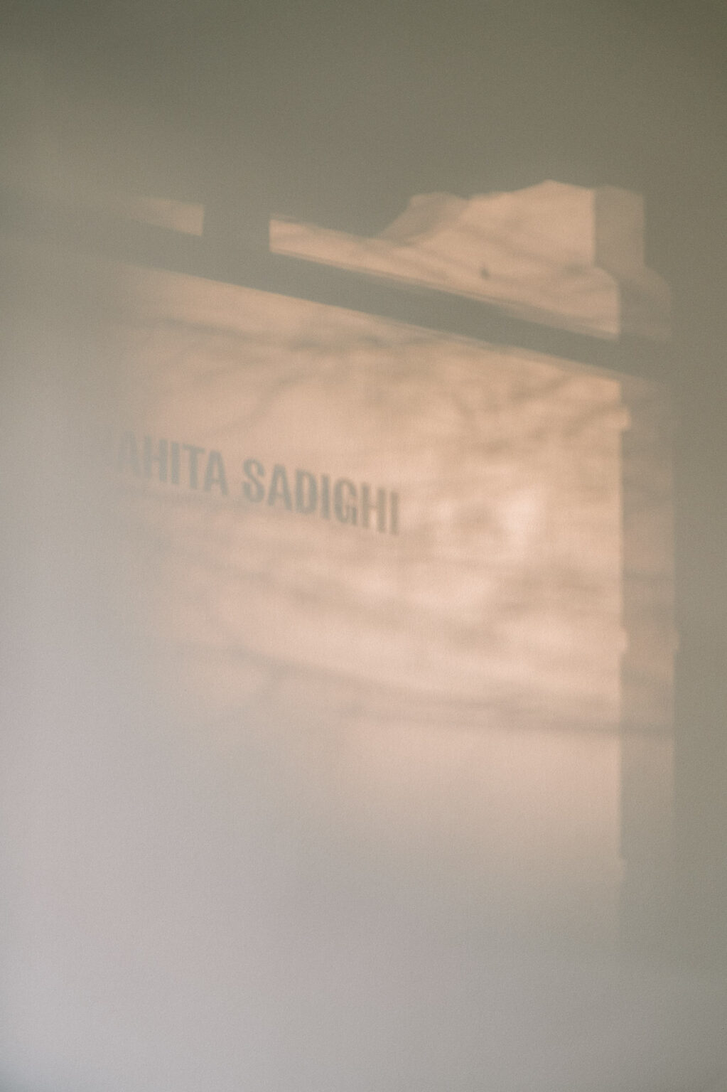 On The Cusp Of Her Next Era, Anahita Sadighi Is Redefining The Role Of ...