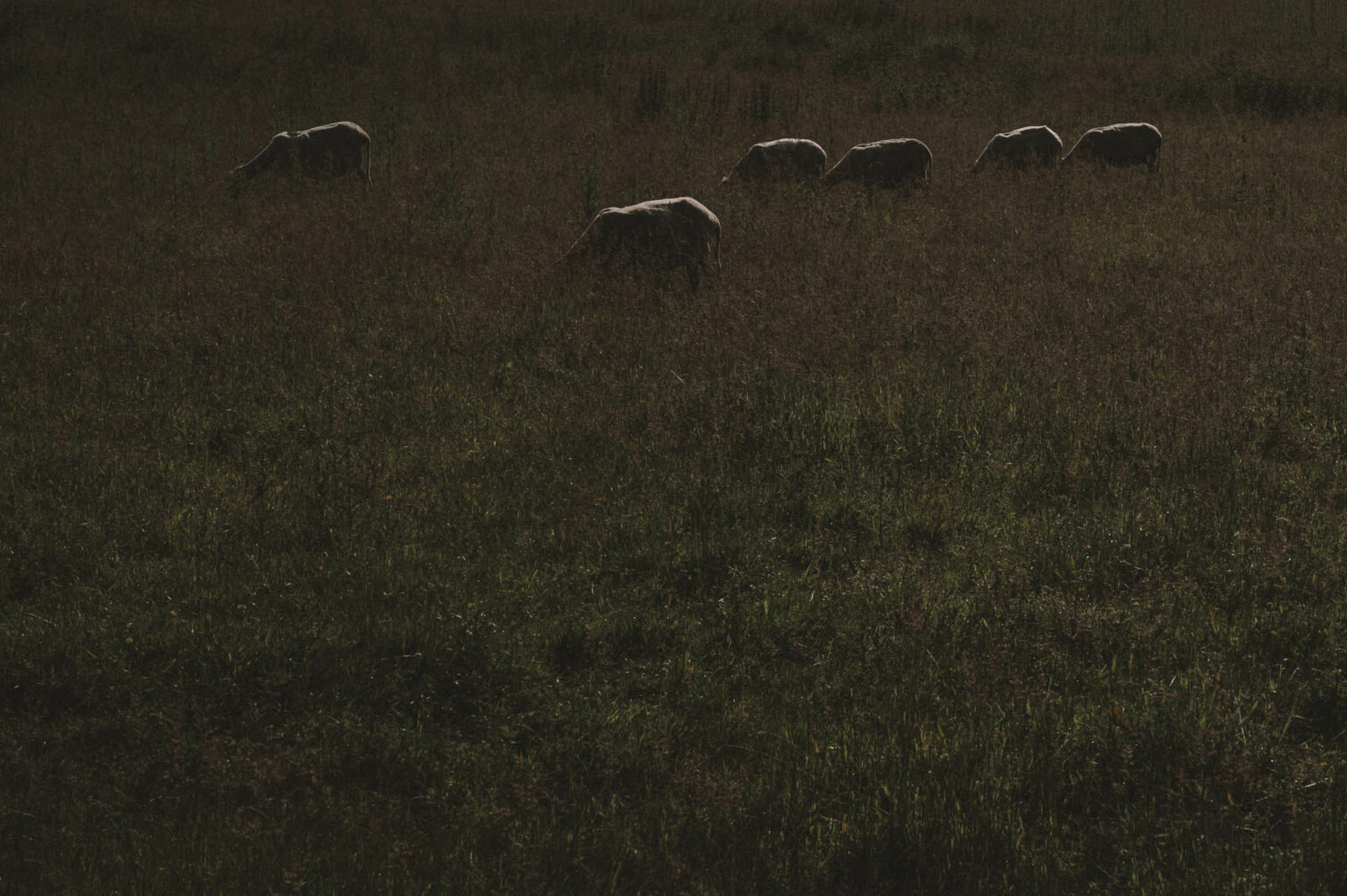 The Essentialist Cabin: Hof Ahmen by Atelier Sunder-Plassmann - IGNANT