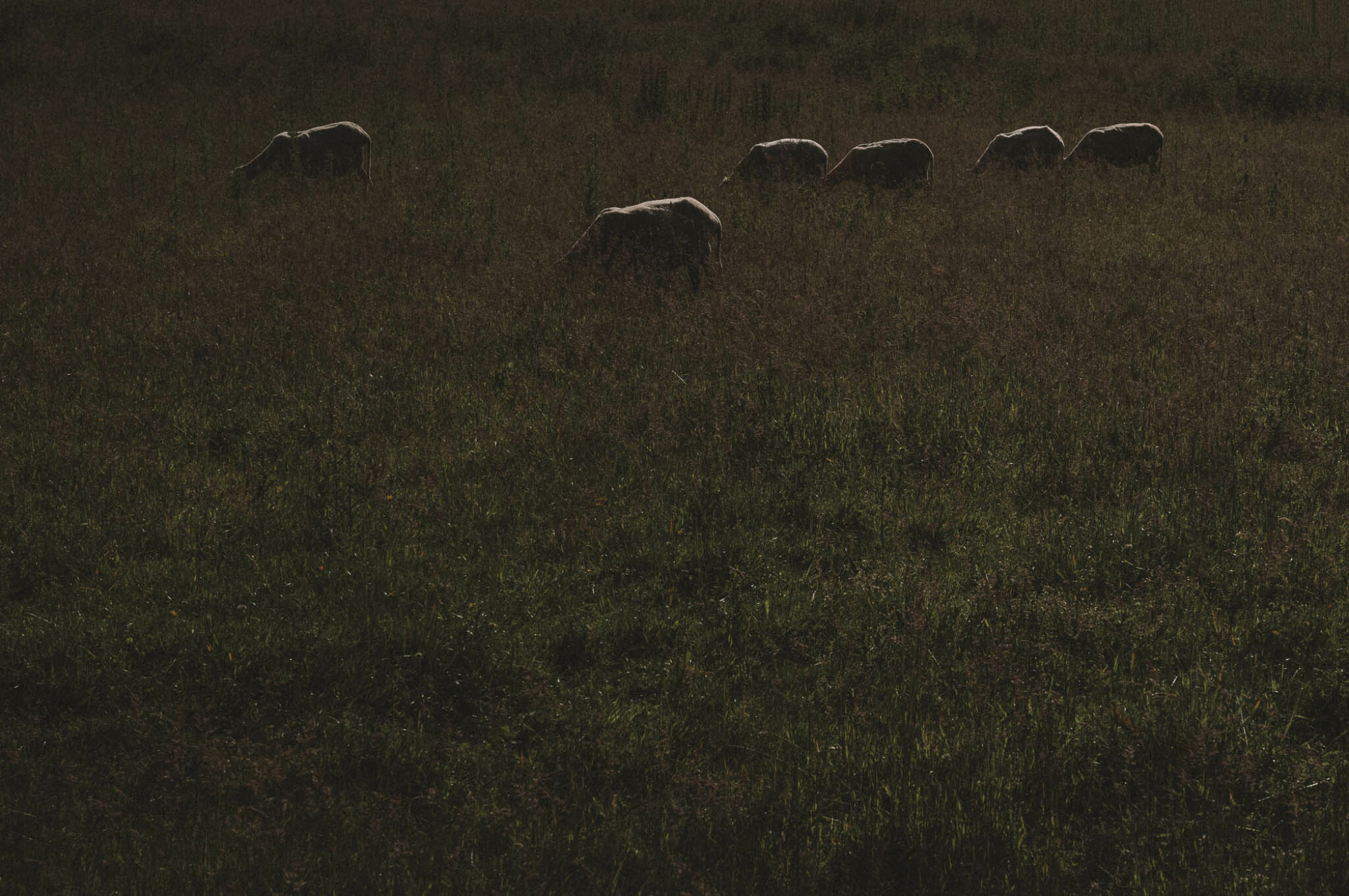 The Essentialist Cabin: Hof Ahmen by Atelier Sunder-Plassmann - IGNANT