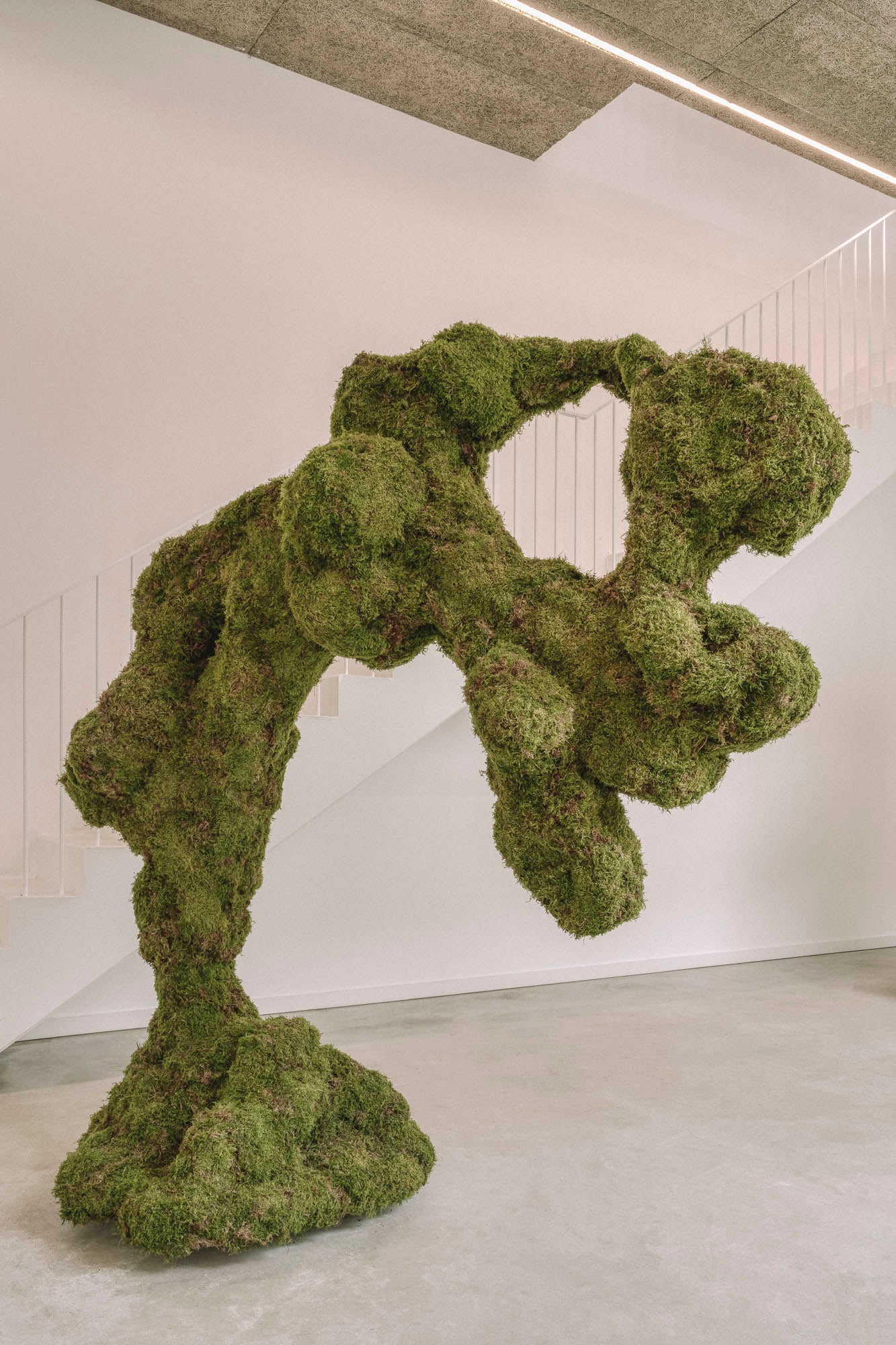 Studio Lilo’s Living Sculptures Reimagine Floral Design - IGNANT