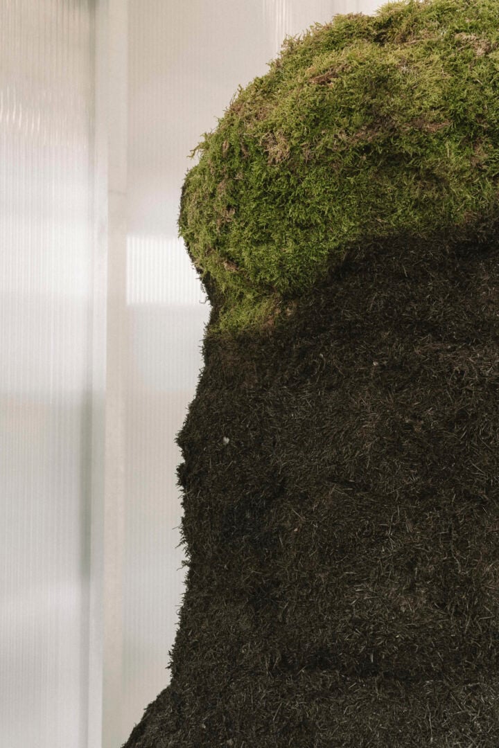 Studio Lilo’s Living Sculptures Reimagine Floral Design - IGNANT