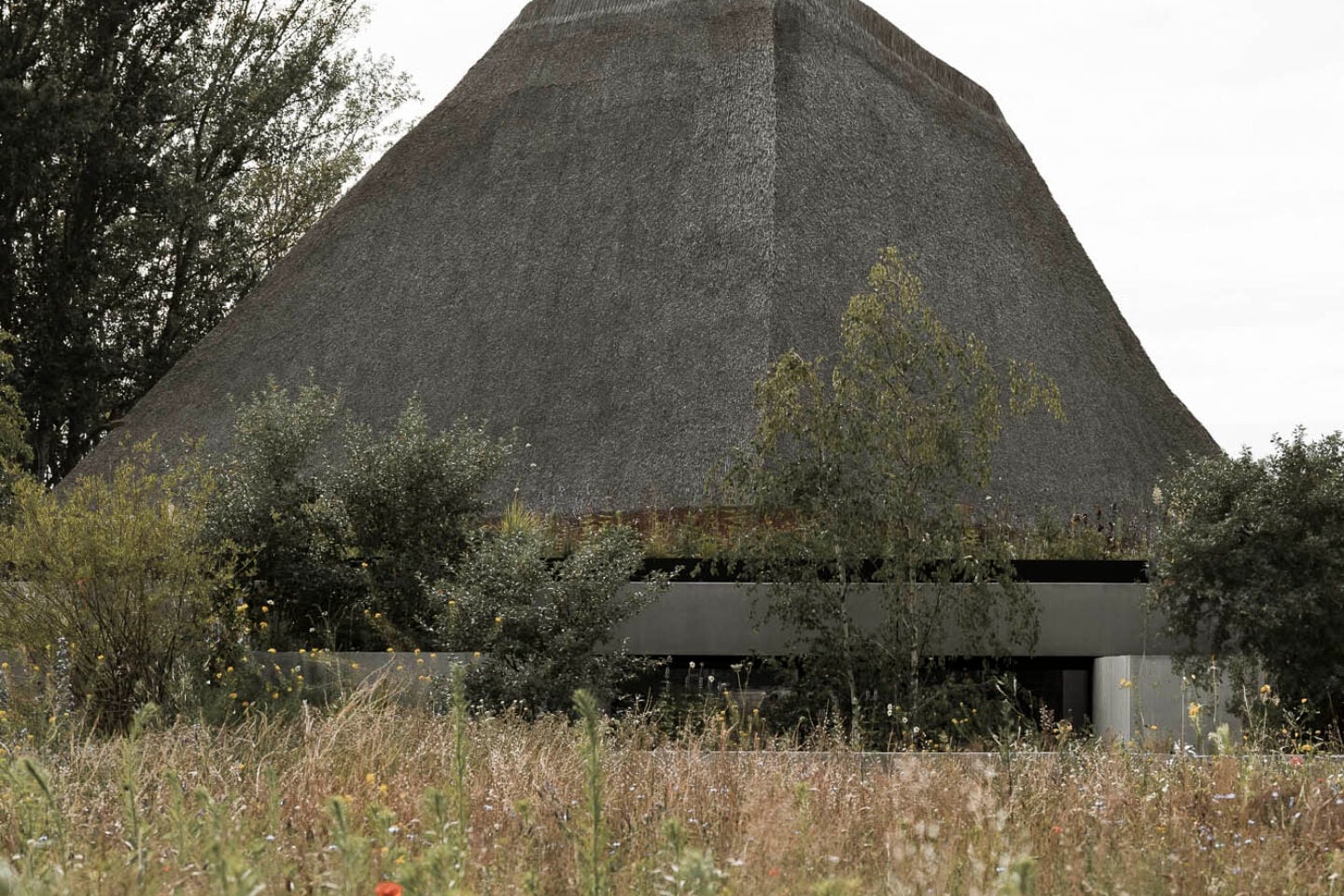 Mixed Media Paintings by Aliza Razell - IGNANT