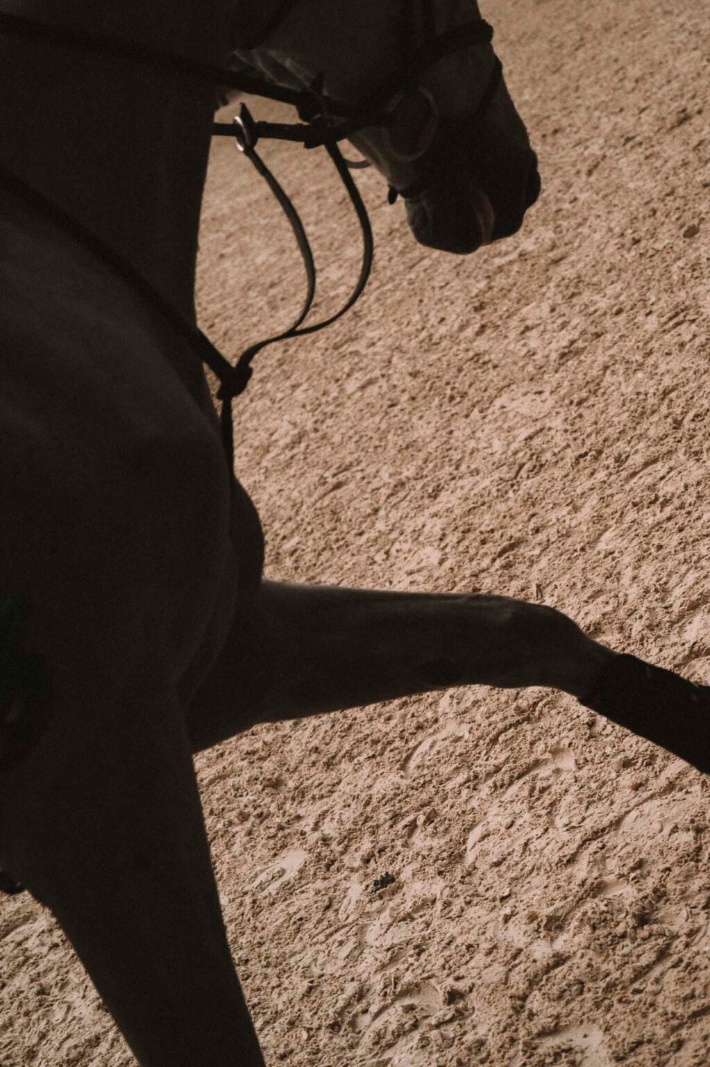 The Saut Hermès 2025: A Spectacle of Airborne Precision at Paris’s ...