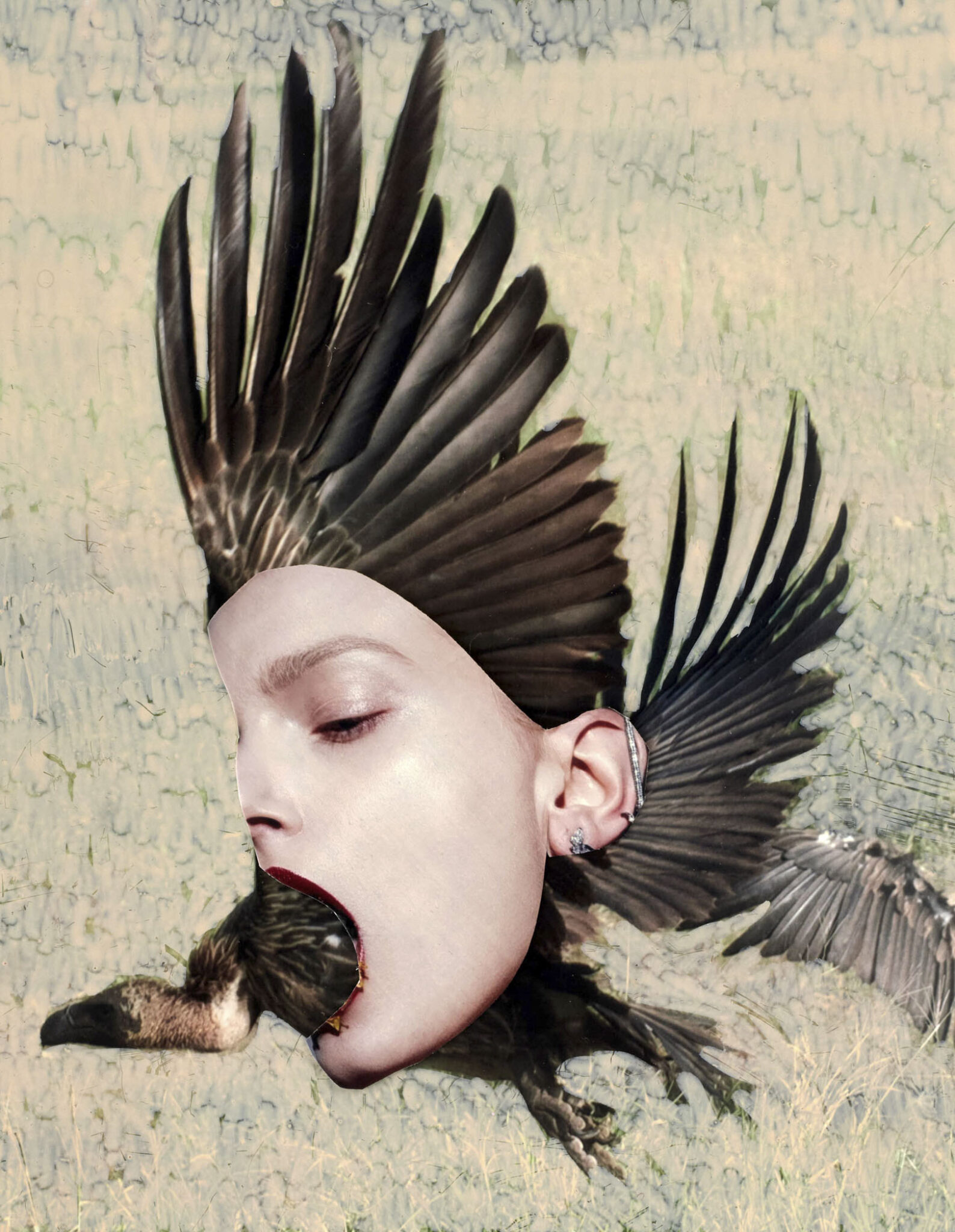 Q&A: Viviane Sassen on the Body as Symbol, Surface, and Story - IGNANT